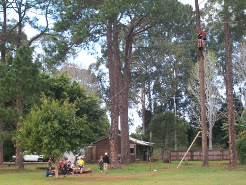 Camps and Excursions